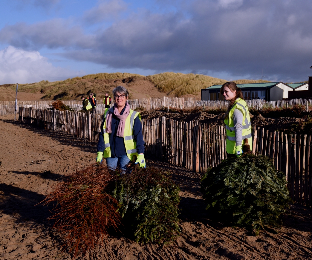 Sand dune conservation volunteer for the Fylde Sand Dunes Project ...