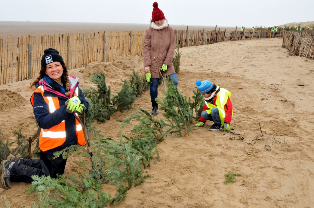 Sand dune conservation volunteer for the Fylde Sand Dunes Project ...