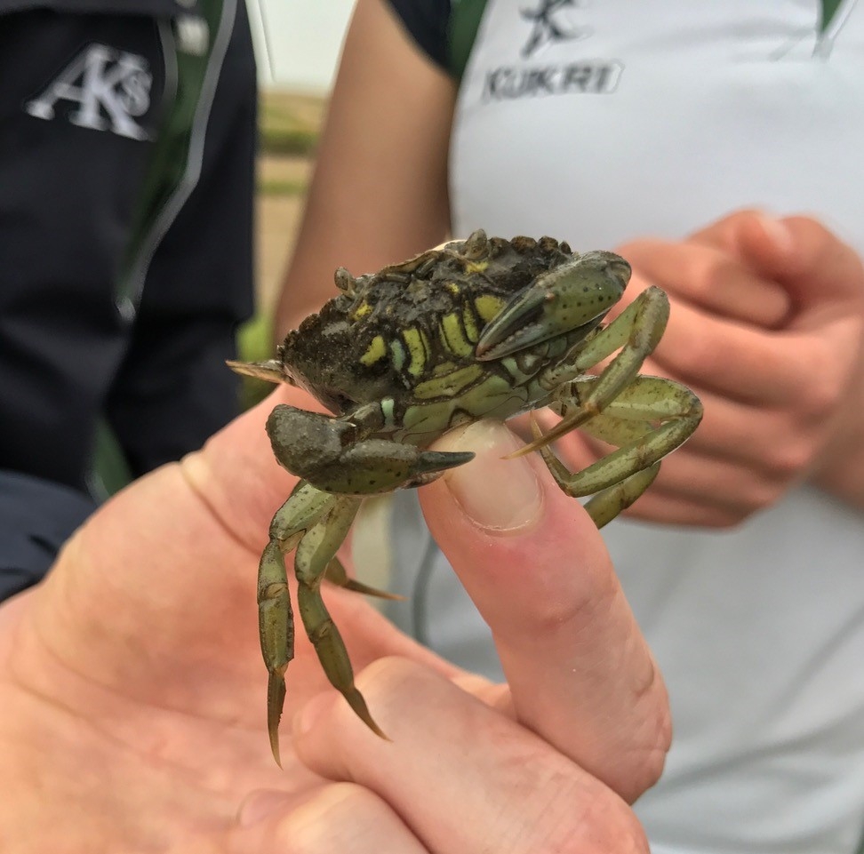 Beach School | Living Seas North West