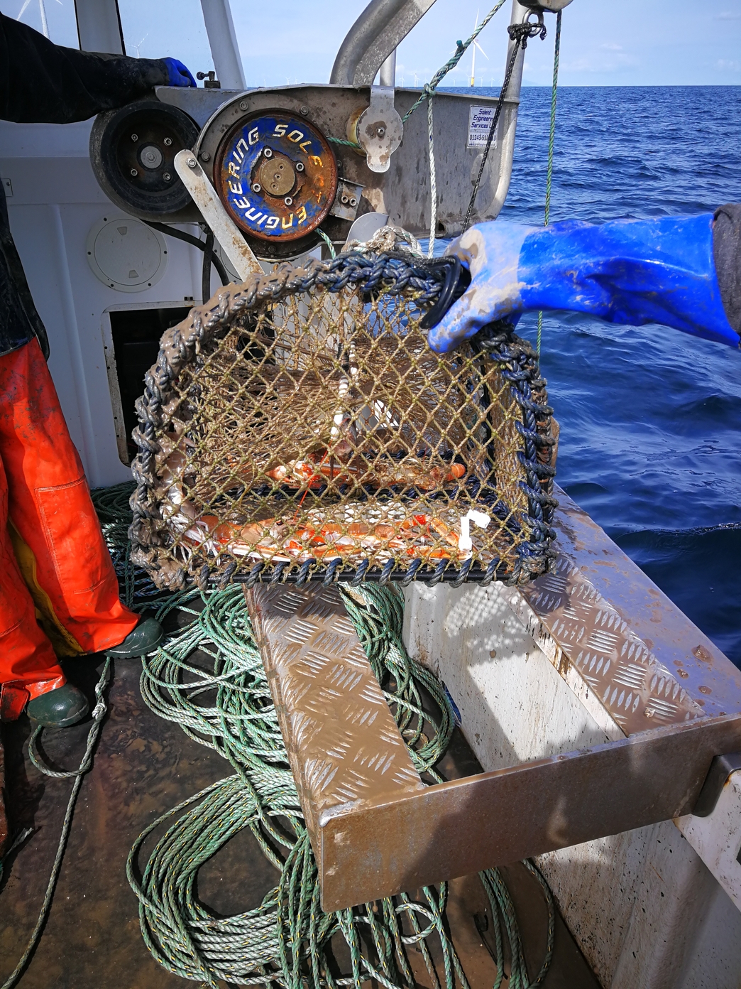 Cumbrian creel project | Living Seas North West