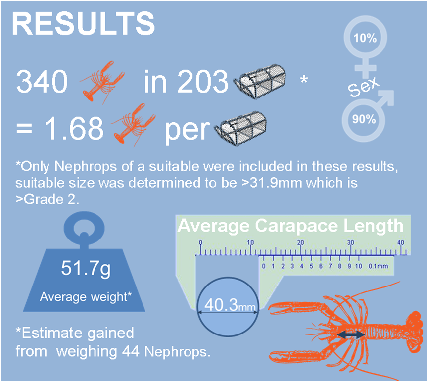 Cumbrian creel project | Living Seas North West
