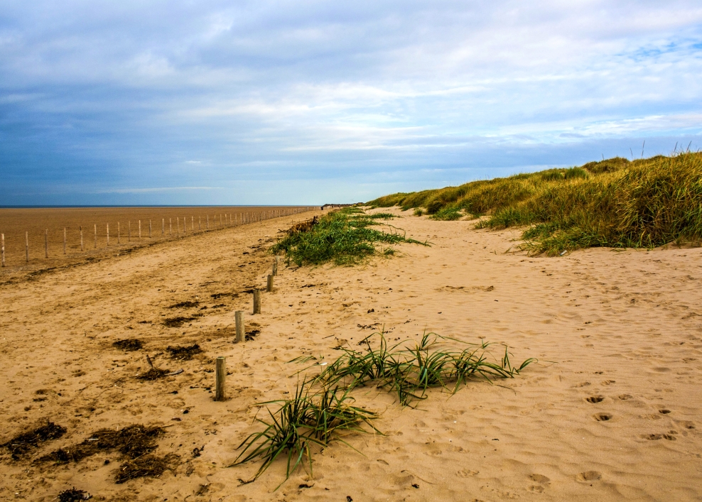 The Fylde Sand Dunes Project | Living Seas North West