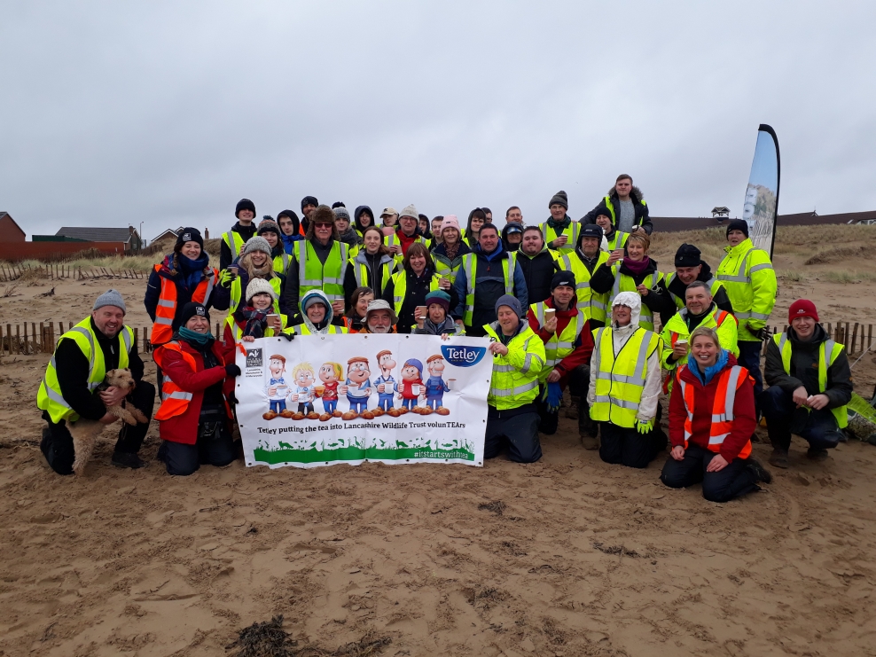 Sand dune conservation volunteer for the Fylde Sand Dunes Project ...