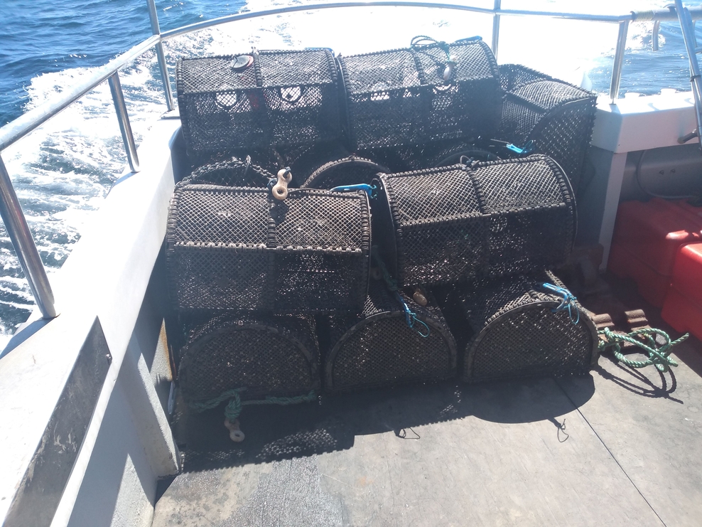 Cumbrian creel project | Living Seas North West