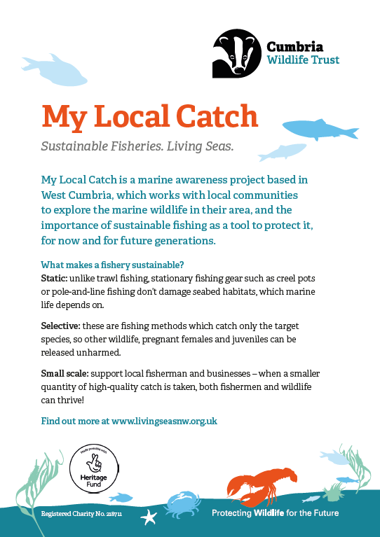 My Local Catch | Living Seas North West